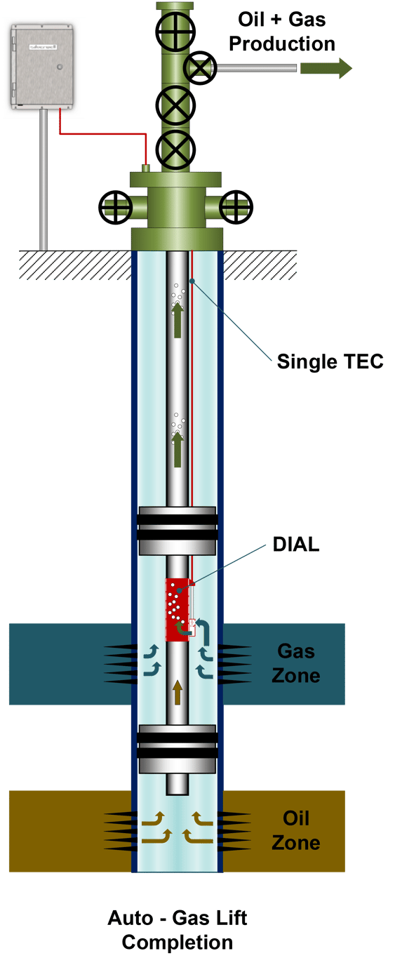 Auto Gas Lift